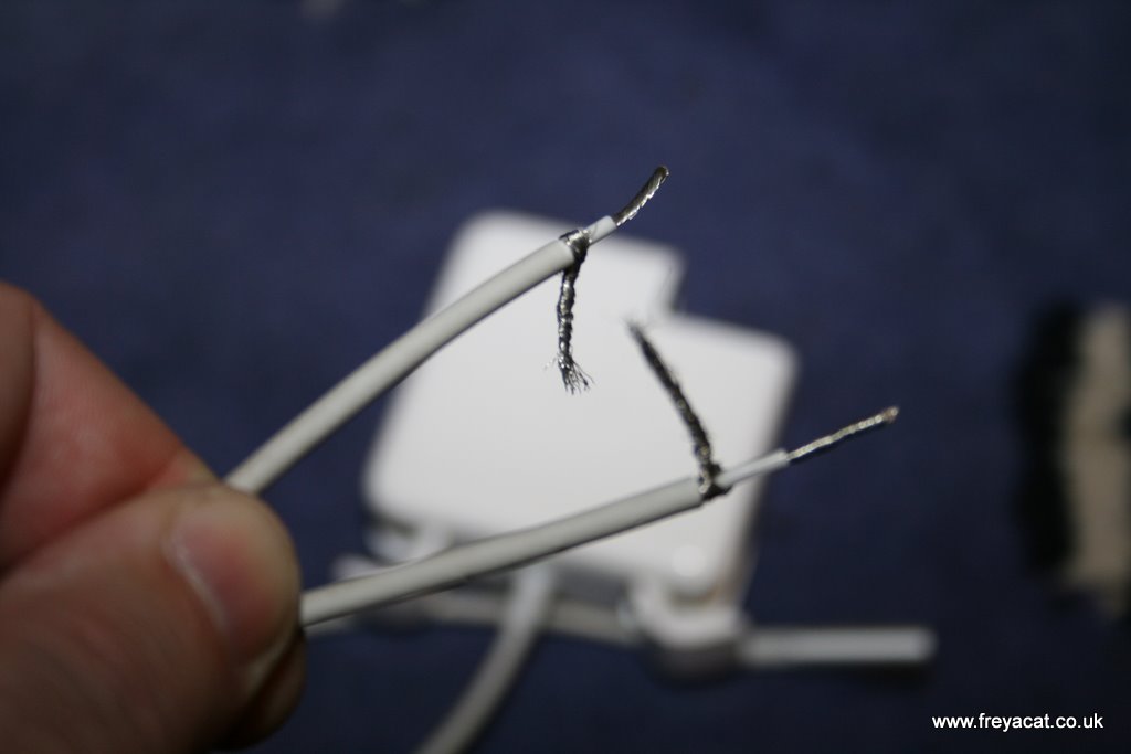 Funny blog about A Cat Called Freya and her brother, titchy Teego - Part 3